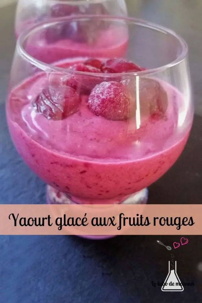 Yaourt glacé aux fruits rouges (companion ou non)