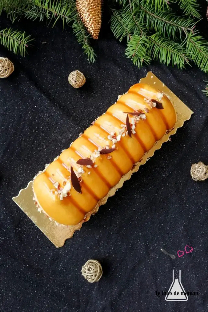 Bûche vanille insert praliné (companion ou non)