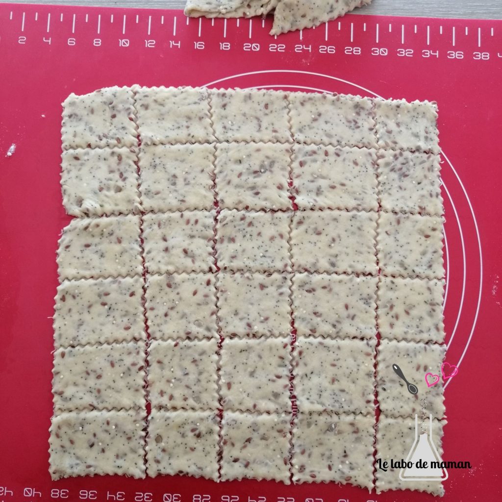 Crackers aux graines (companion ou non) - Le labo de maman