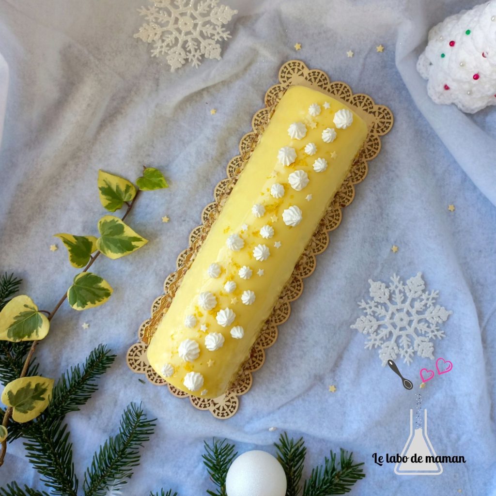 5 idées de bûche de Noël