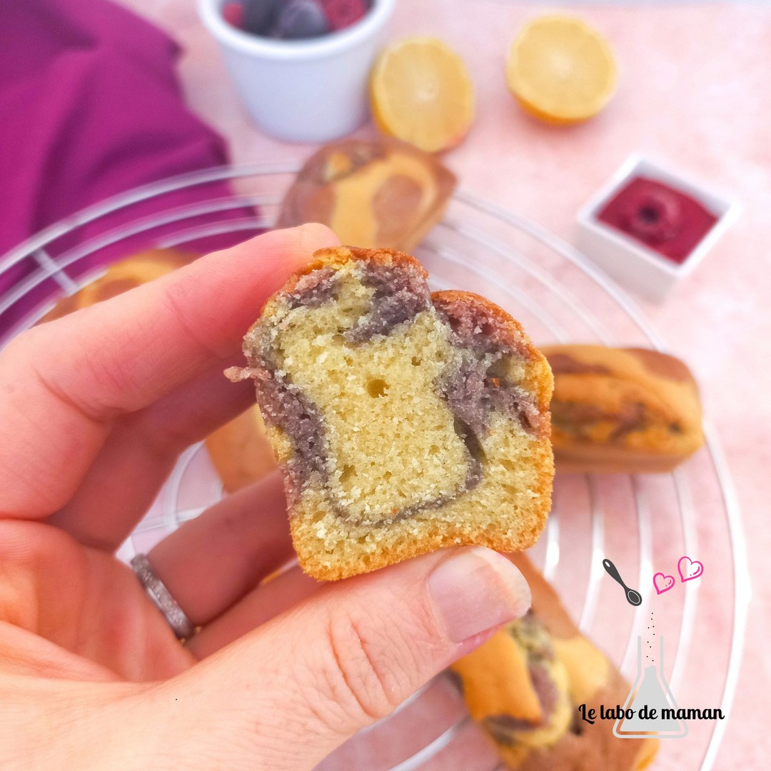 10 idées de recettes pour le goûter (partie 2) - companion ou non