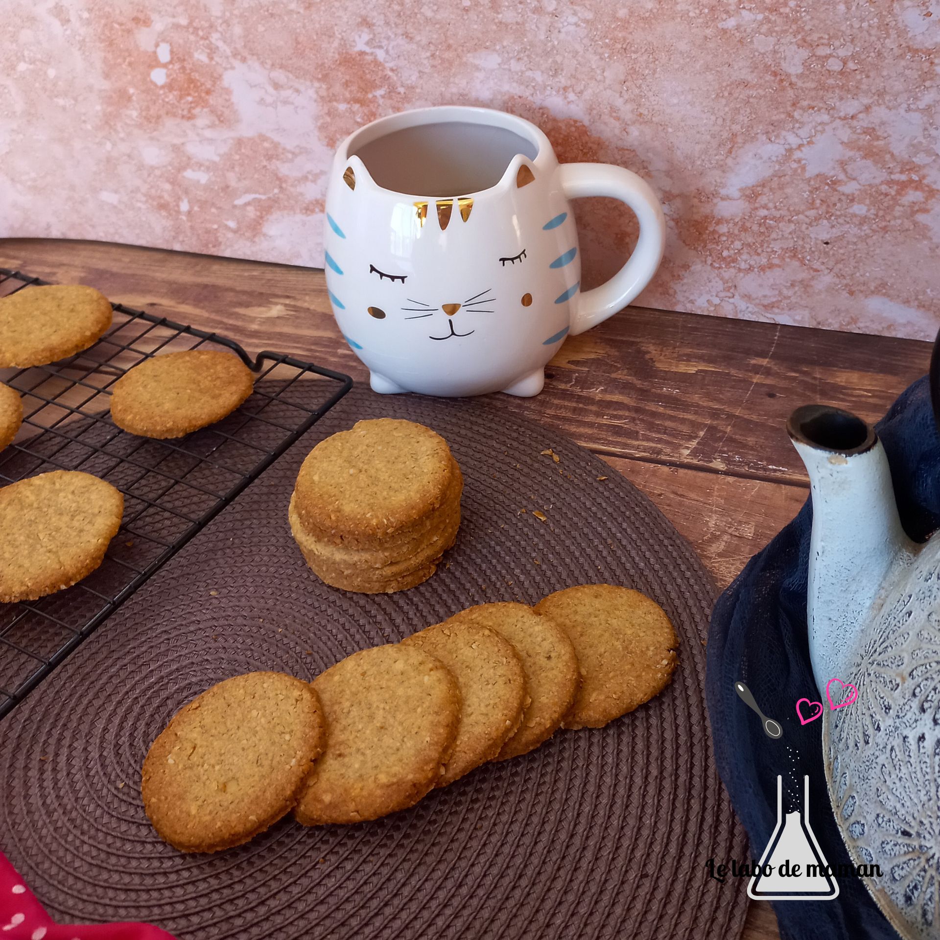 Biscuits complets sains au son d'avoine (companion ou non)